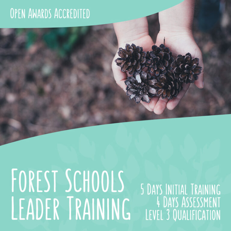 Courses - Forest Schools Kindergartens